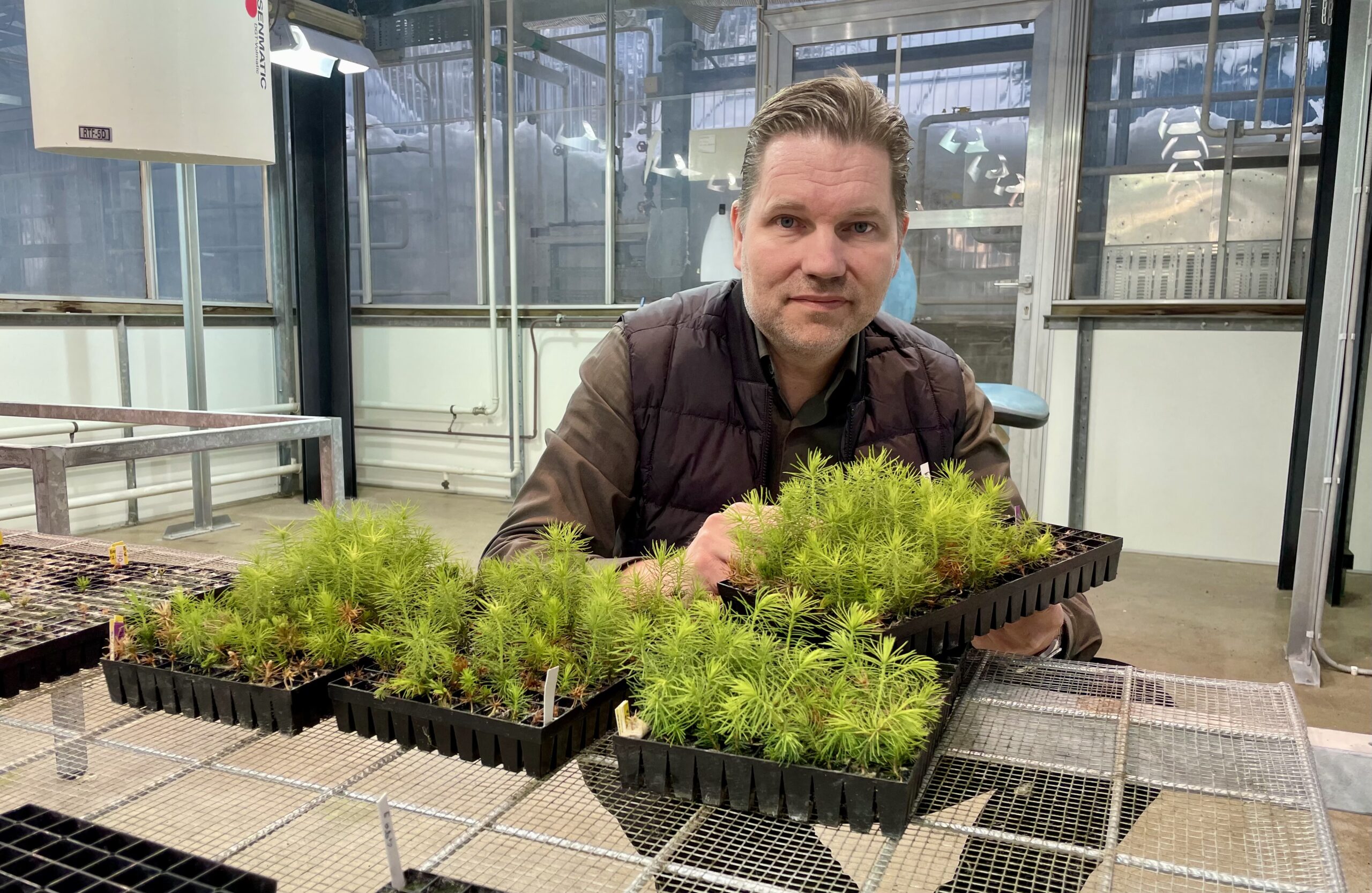 SweTree Technologies expands to complete unique plant pilot project - UBI